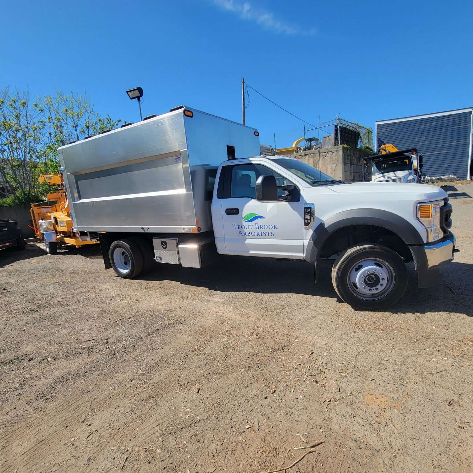 How To Kill Tree Stumps With Bleach & Save Environment